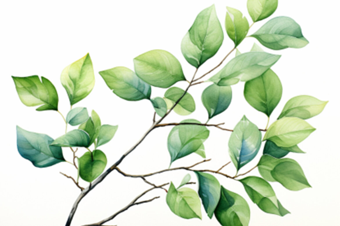 Watercolor Leaf Deeezy