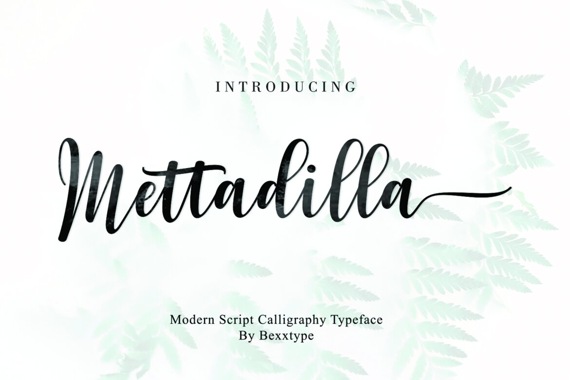 Mettadilla Script | Deeezy