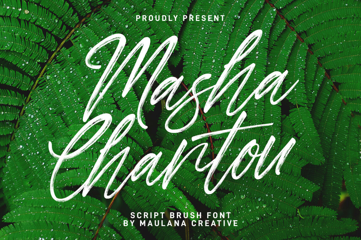 Masha Chantou Script Brush Font | Deeezy