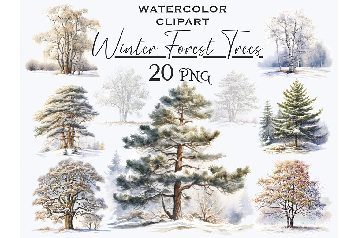 Winter Forest Trees PNG Bundle, Snowy Tree Clipart | Deeezy