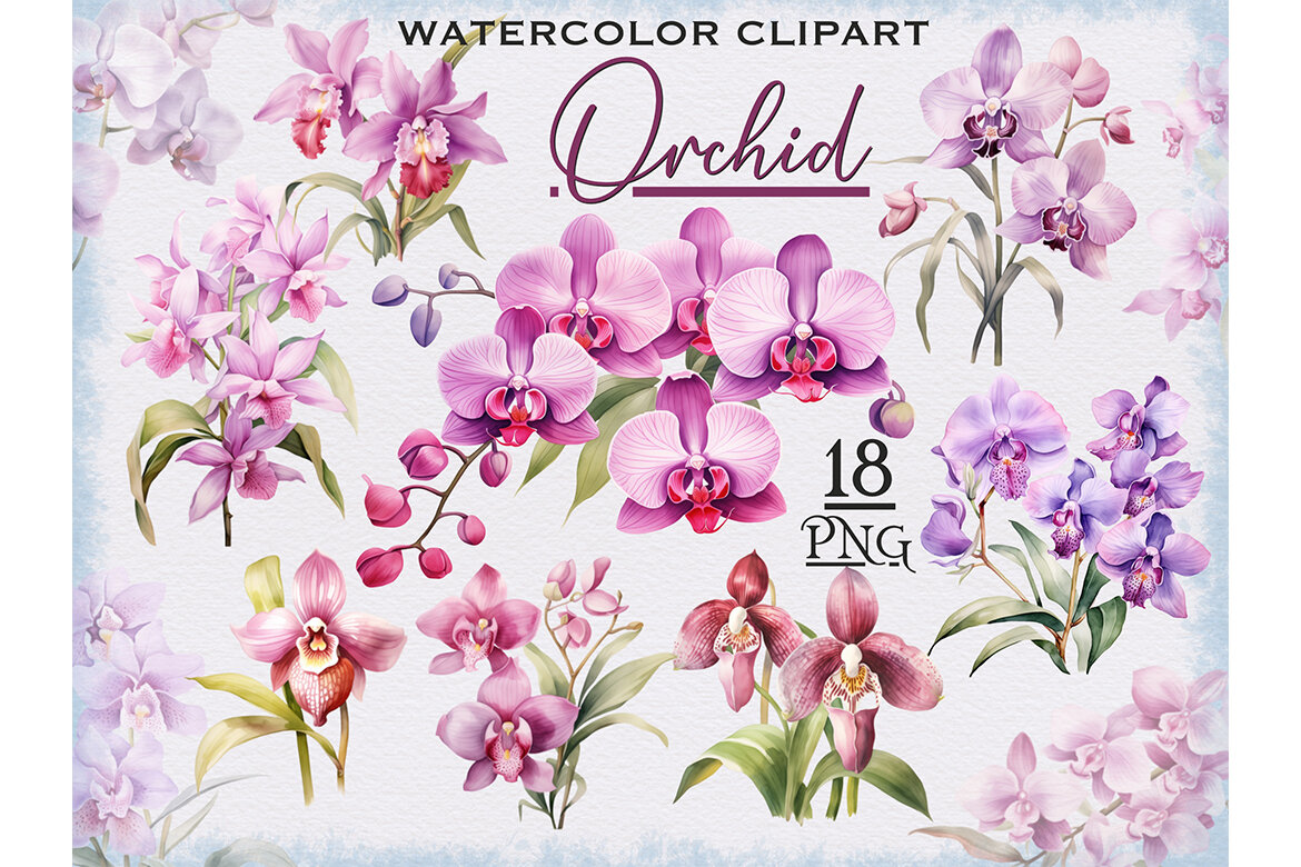 Watercolor Orchid PNG Bundle | Deeezy