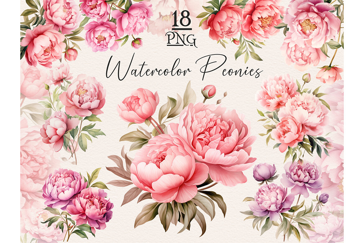 Pink Peony PNG Bundle, Watercolor peonies clipart | Deeezy