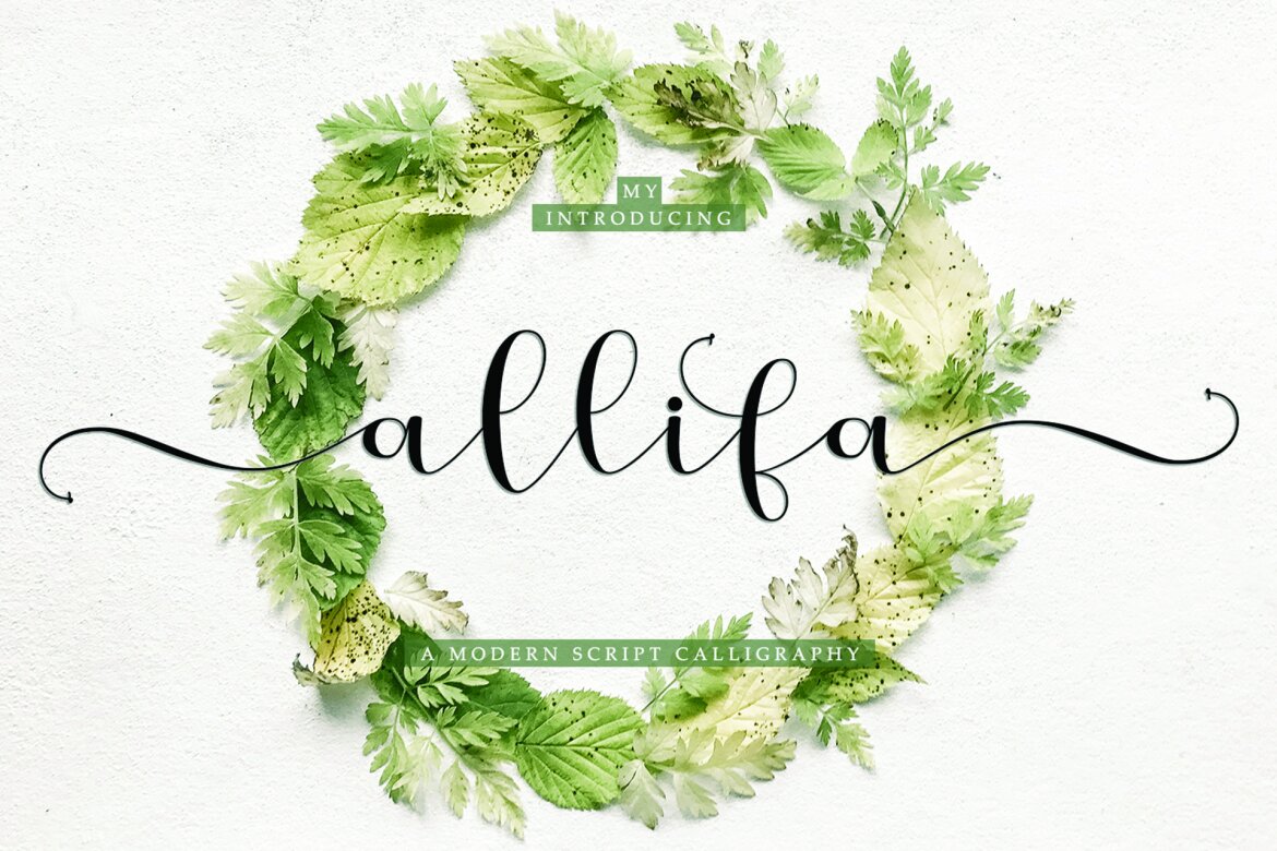 Allifa Script | Deeezy