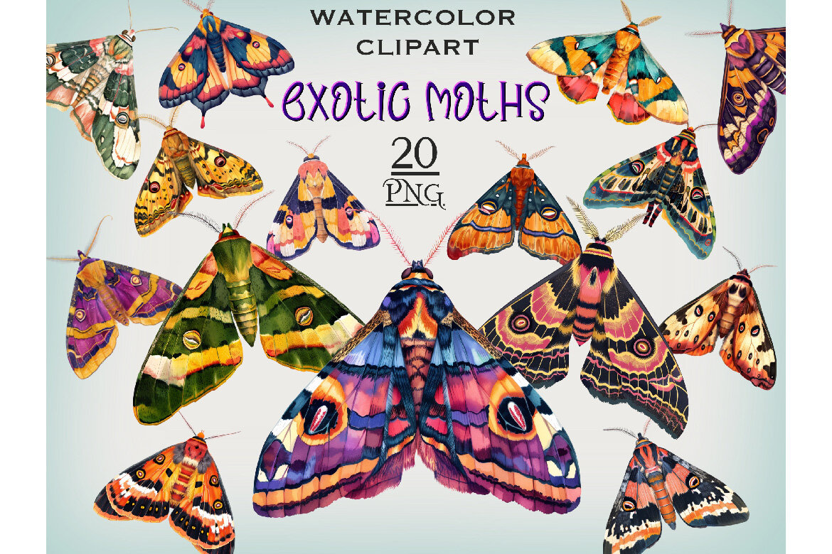 Watercolor Moth PNG Bundle | Deeezy