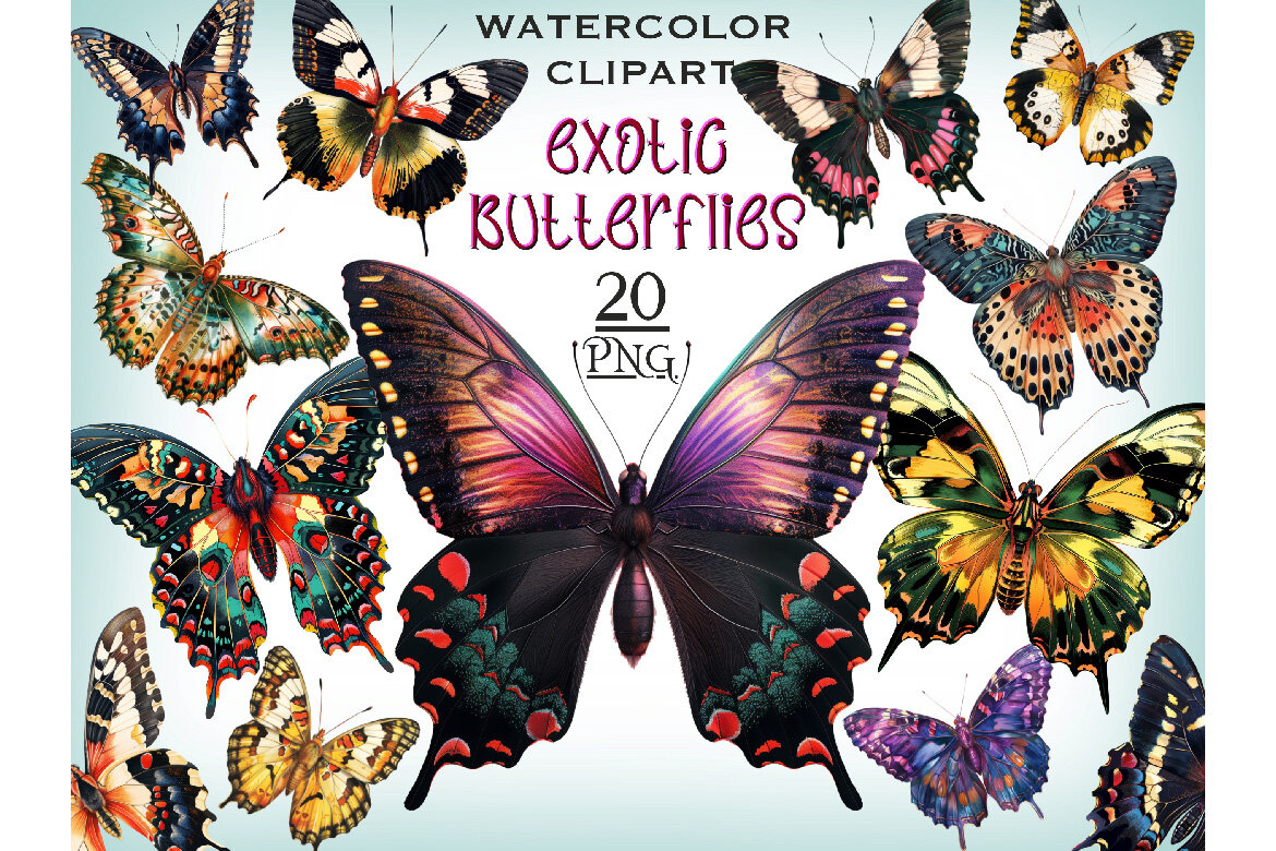 Watercolor Butterfly PNG Bundle | Deeezy