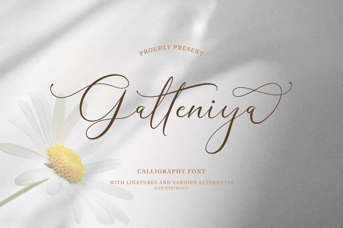 Galteniya | Beautiful Script | Deeezy