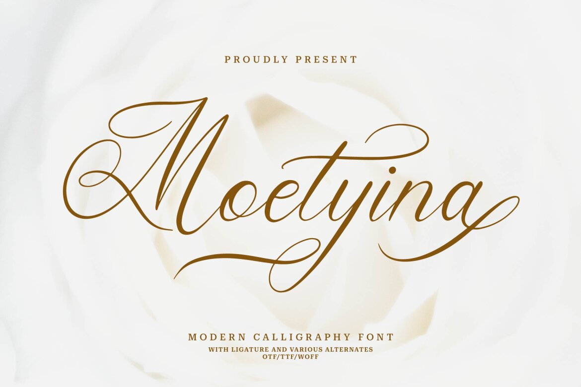 Moetyina | Modern Calligraphy Font | Deeezy