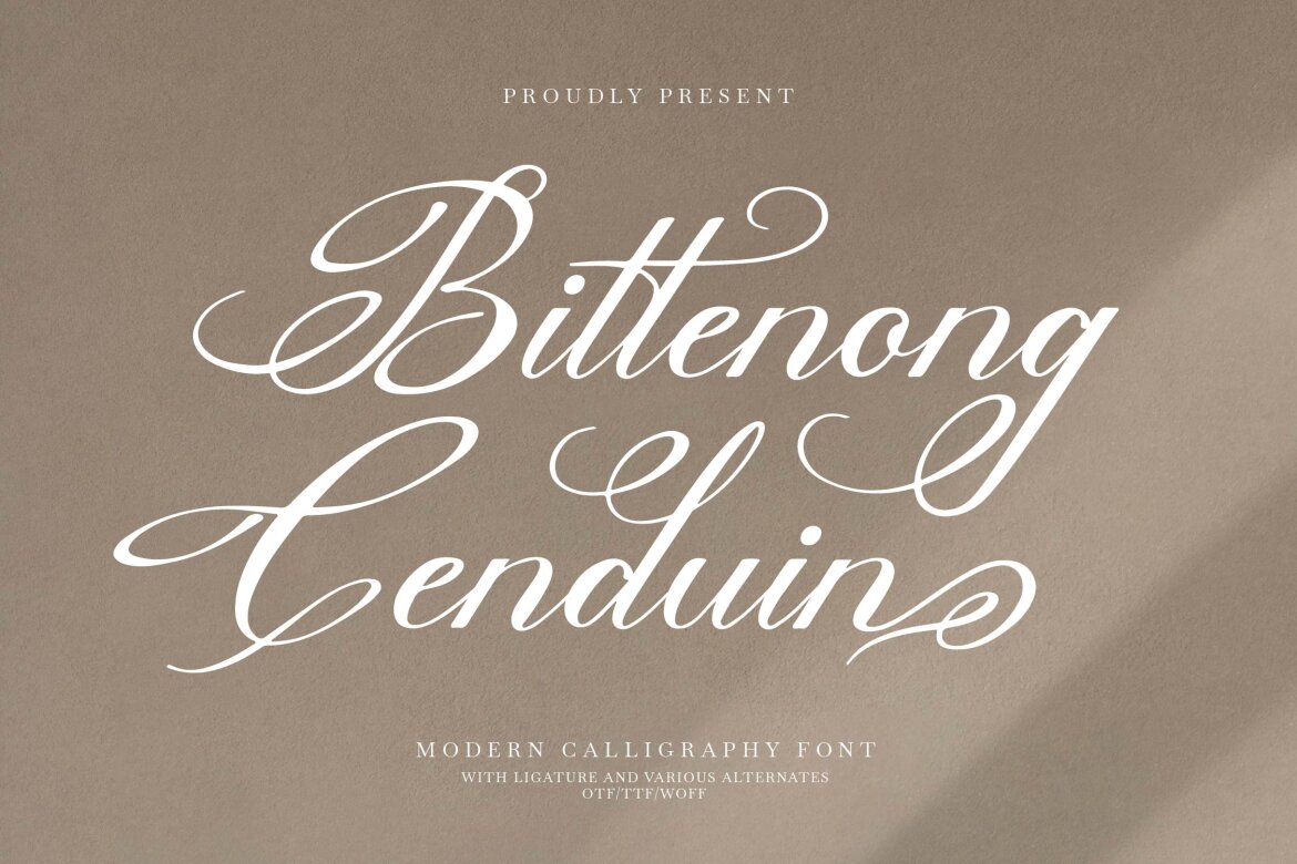 Bittenong Cenduin | Modern Calligraphy Font | Deeezy