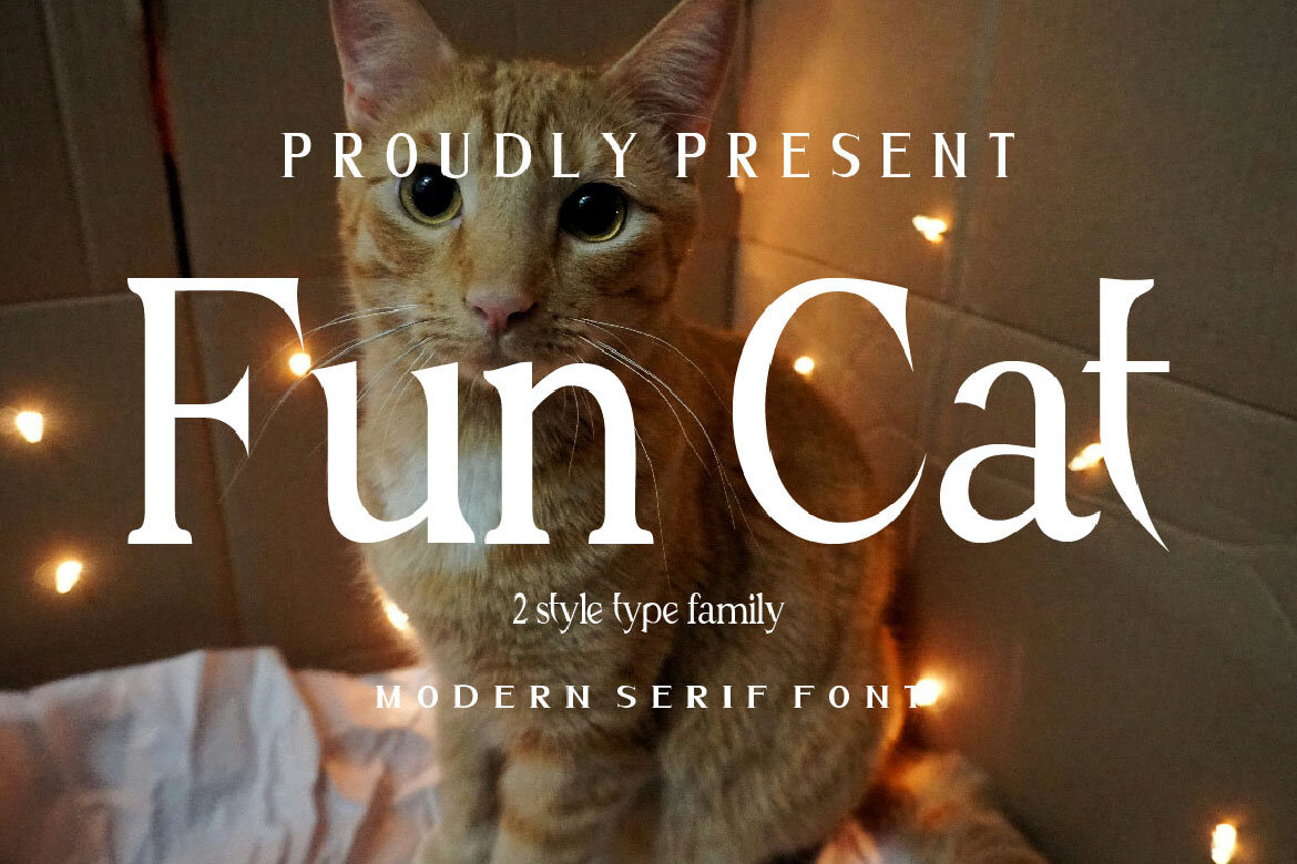 Fun Cat Font | Deeezy