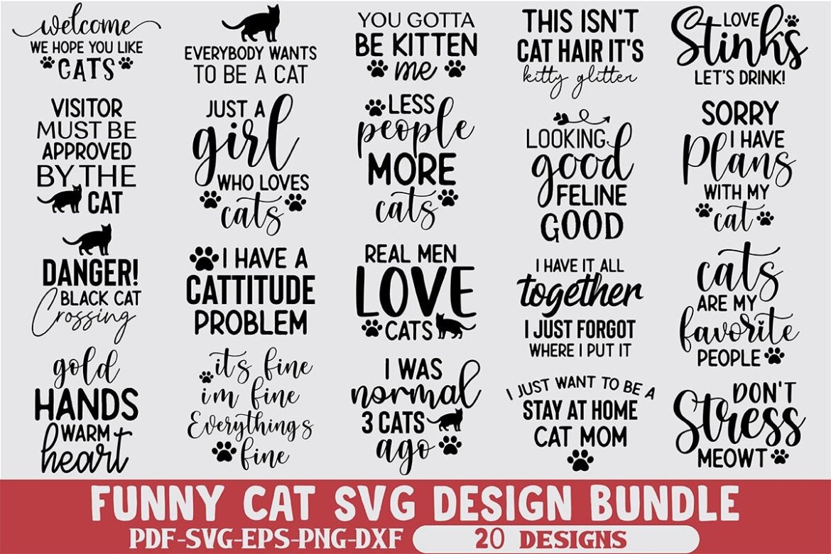Funny Cat SVG Design Bundle | Deeezy