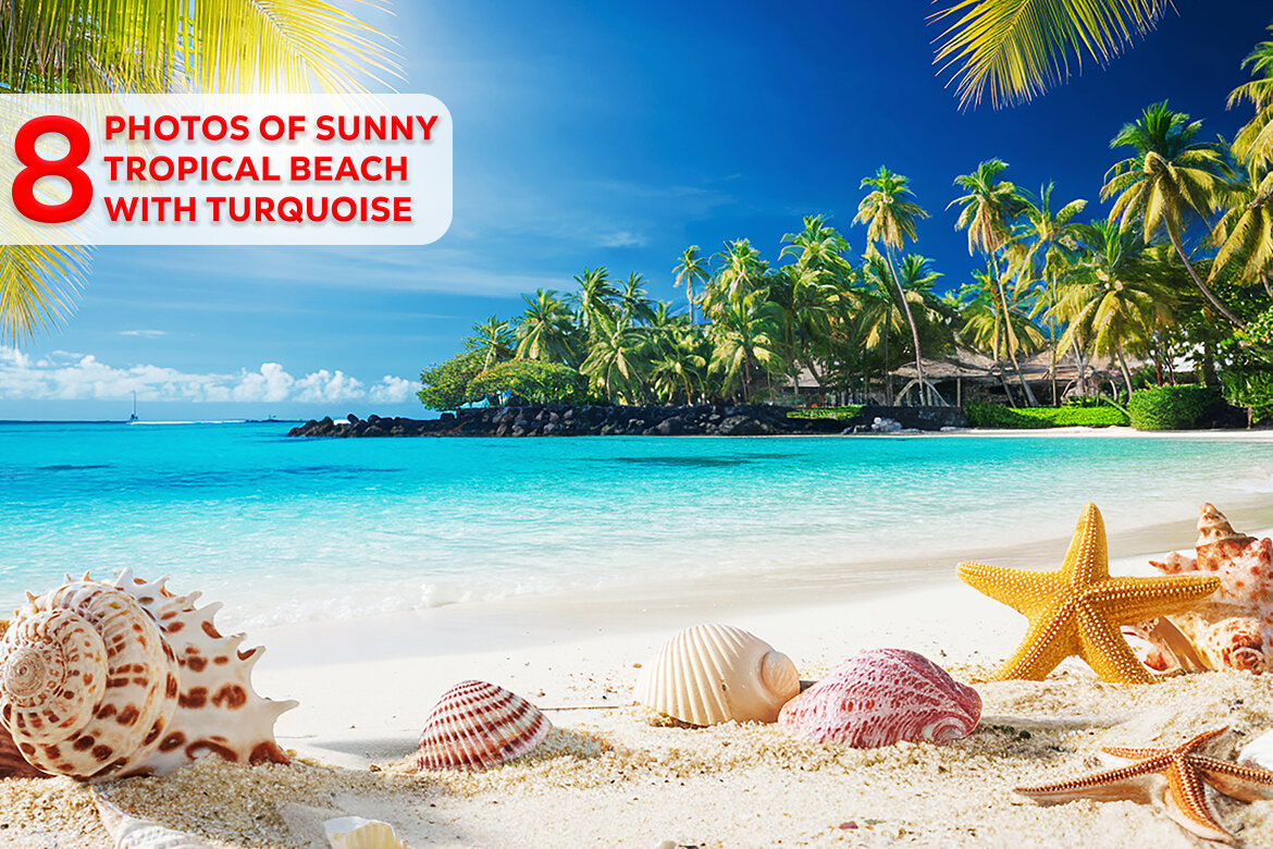 8 Photo of Sunny Tropical Beach with Turquoise | Deeezy