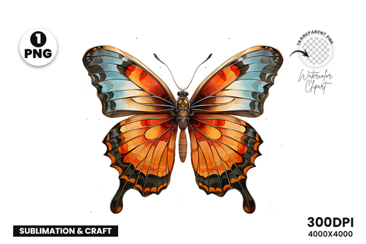 Watercolor Butterfly Clipart Sublimation PNG | Deeezy
