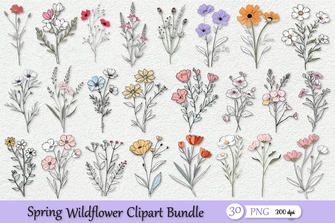 Spring Wildflower Clipart Bundle | Deeezy