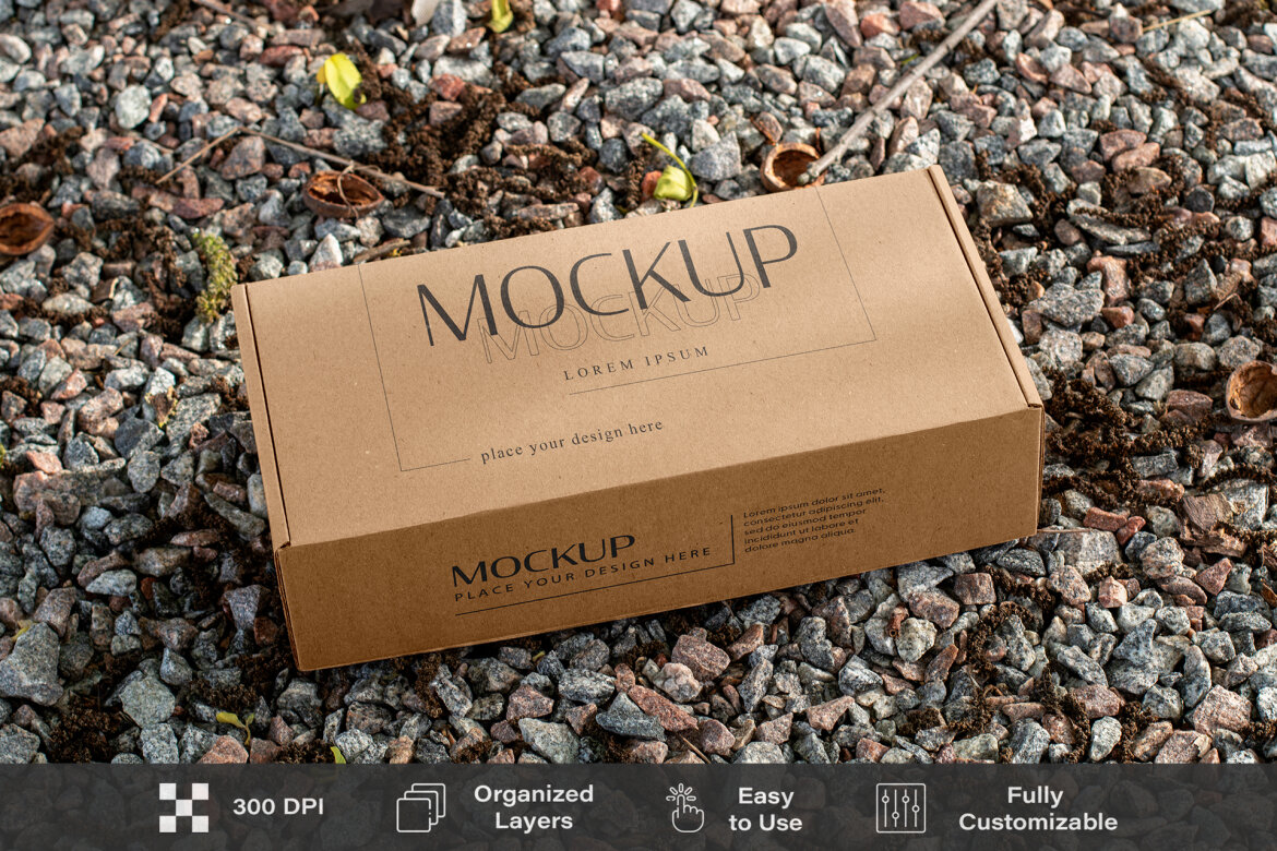 Cardboard Box Mockup Set | Deeezy