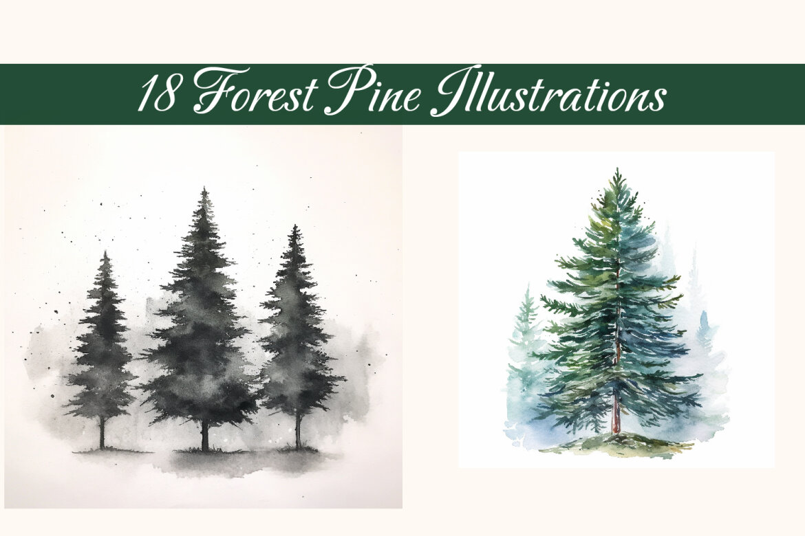 Forest Pine Illustration | Deeezy