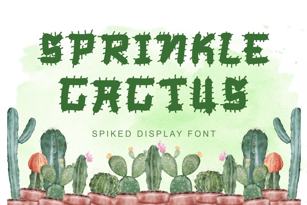 Sprinkle Cactus | Deeezy