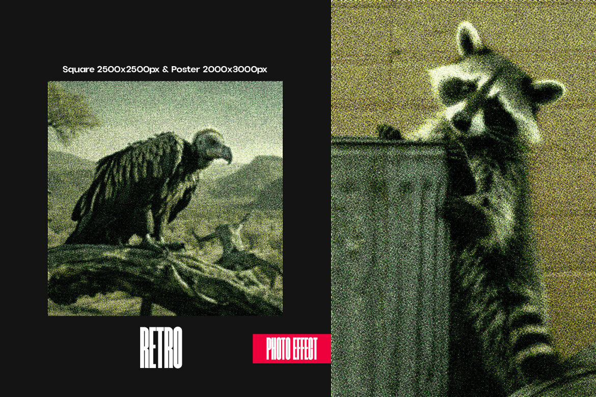 Retro Square And Poster Effect | Deeezy